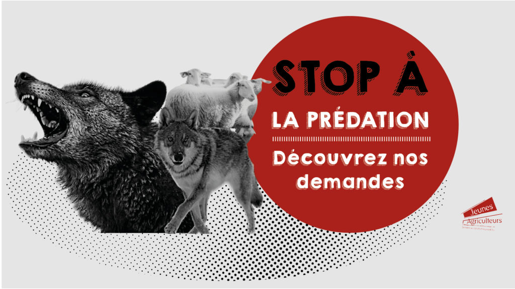 Les chiffres de la prédation et du pastoralisme - Jeunes Agriculteurs
